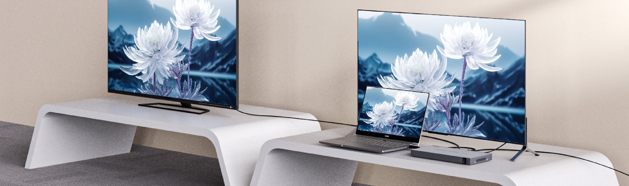 HDMI Splitter & Extender