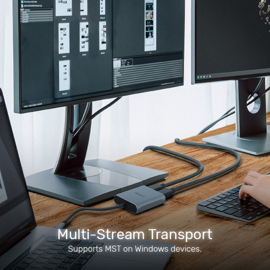 USB-C to Dual DisplayPort Adapter | UNITEK