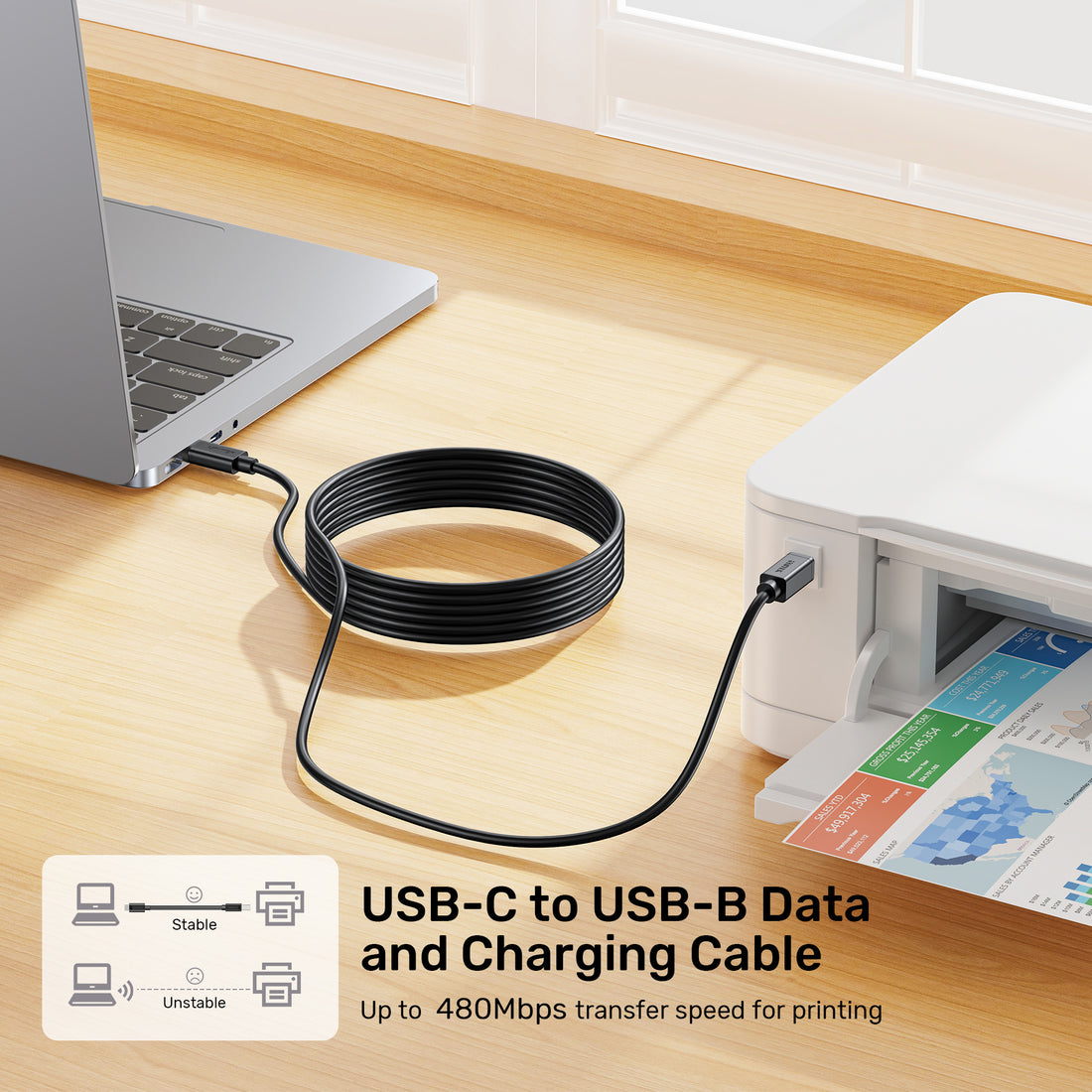 USB-C to USB-B Data and Charging Cable | UNITEK